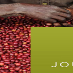 Rwanda’s Maraba Coop And Reconciliation Through Coffee | Spilling the Beans
